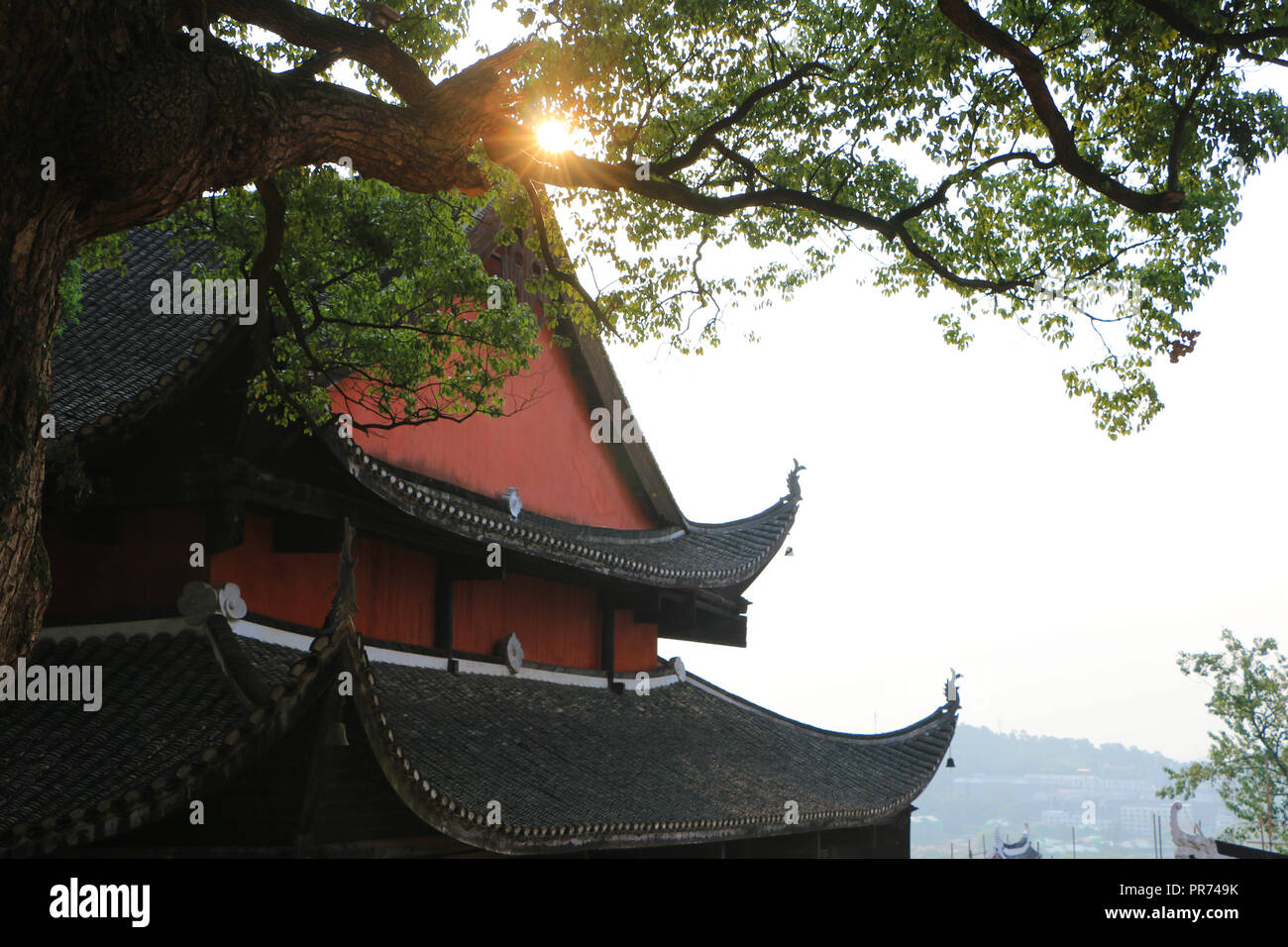 Sunset silhouette trees and ancient buildings hi-res stock photography ...