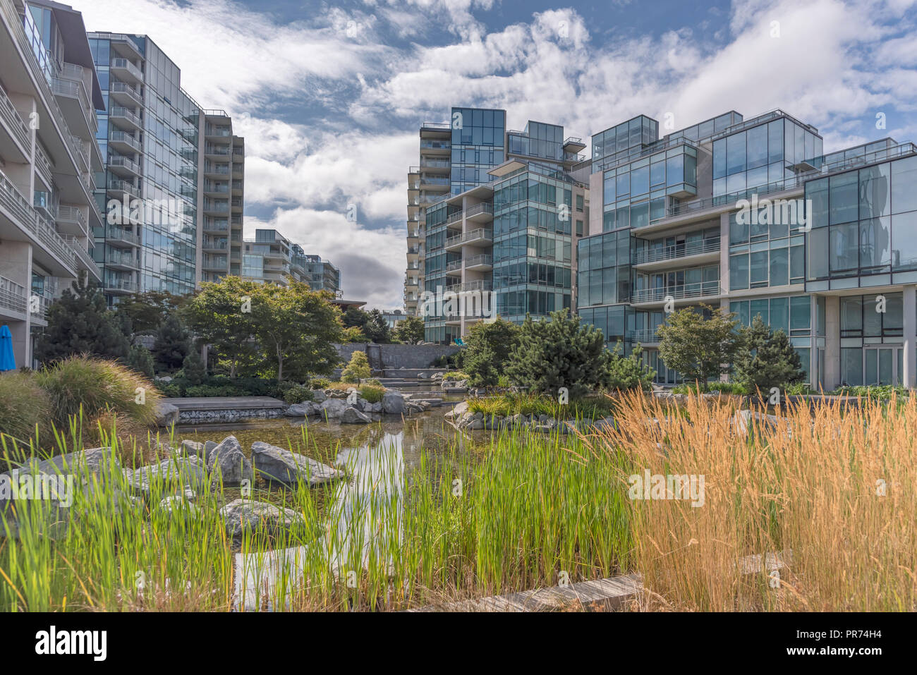 pond with stones, trees and bushes surrounded by new, modern high-rise ...
