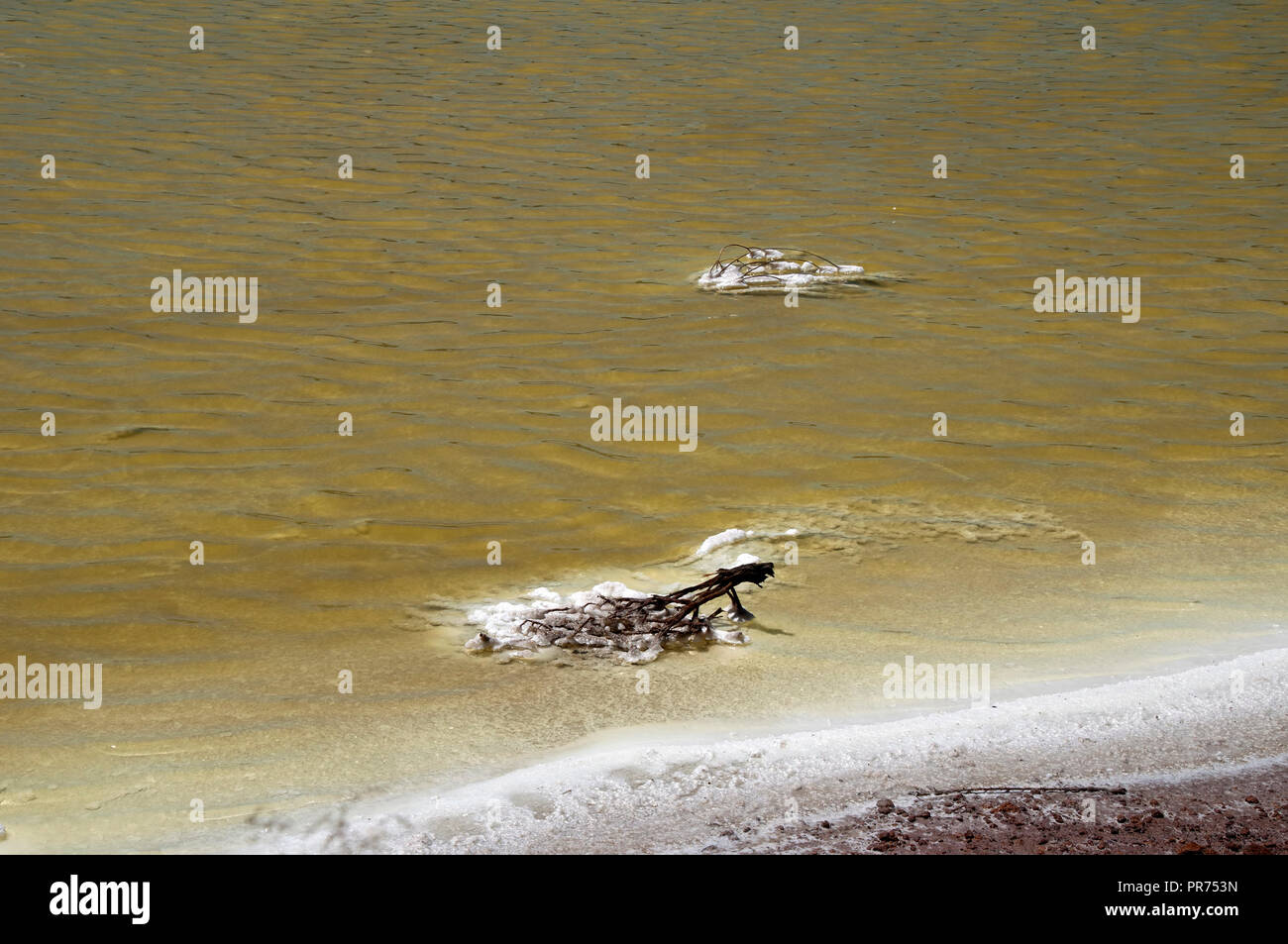 Chinocup nature reserve hi-res stock photography and images - Alamy