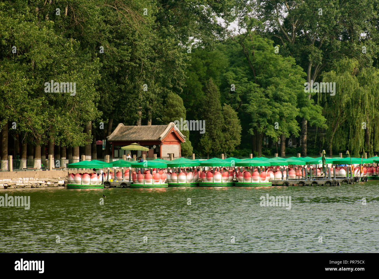 Pedal Boats, China High Resolution Stock Photography and Images - Alamy