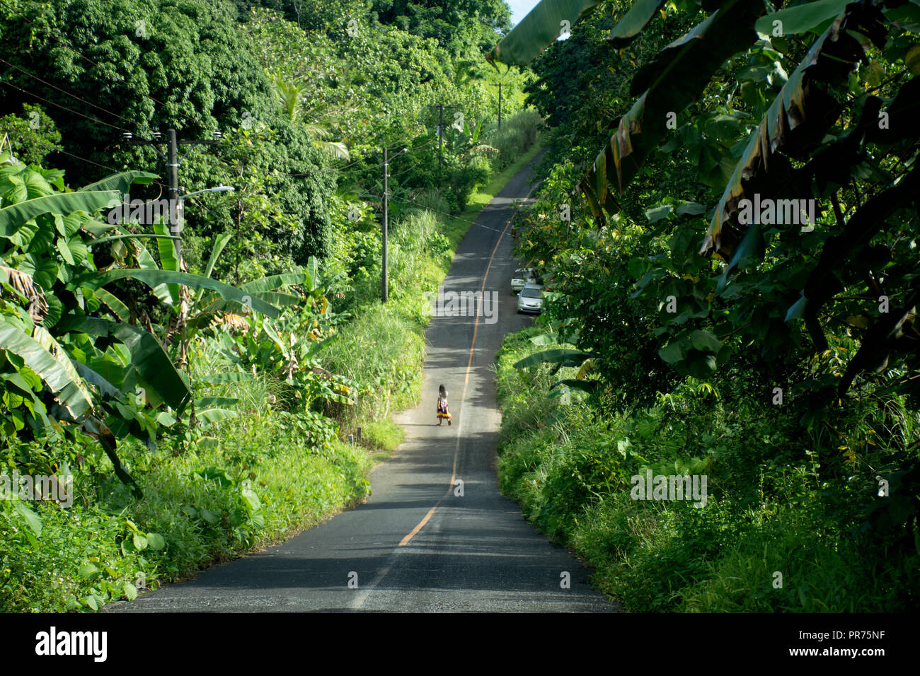Micronesian woman crosses a road, Pohnpei, Federated States of ...