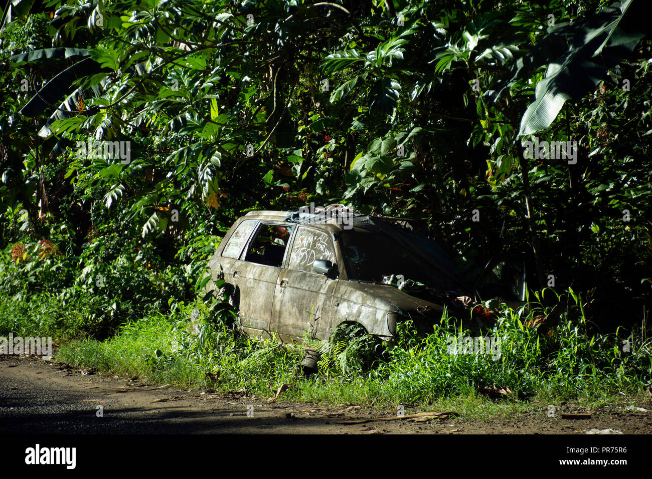 Abandoned car by the road, Pohnpei, Federated States of Micronesia ...
