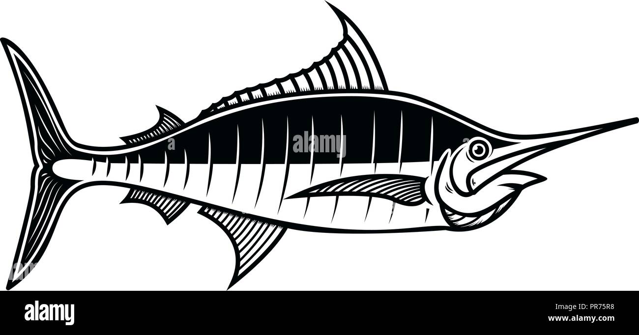 Sailfish swordfish jumping cartoon hi-res stock photography and images ...