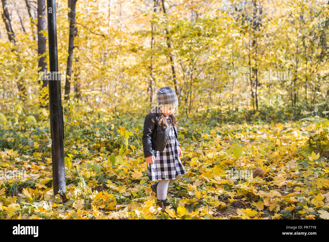 Children, fall, people concept - young child walking in autumn park and ...