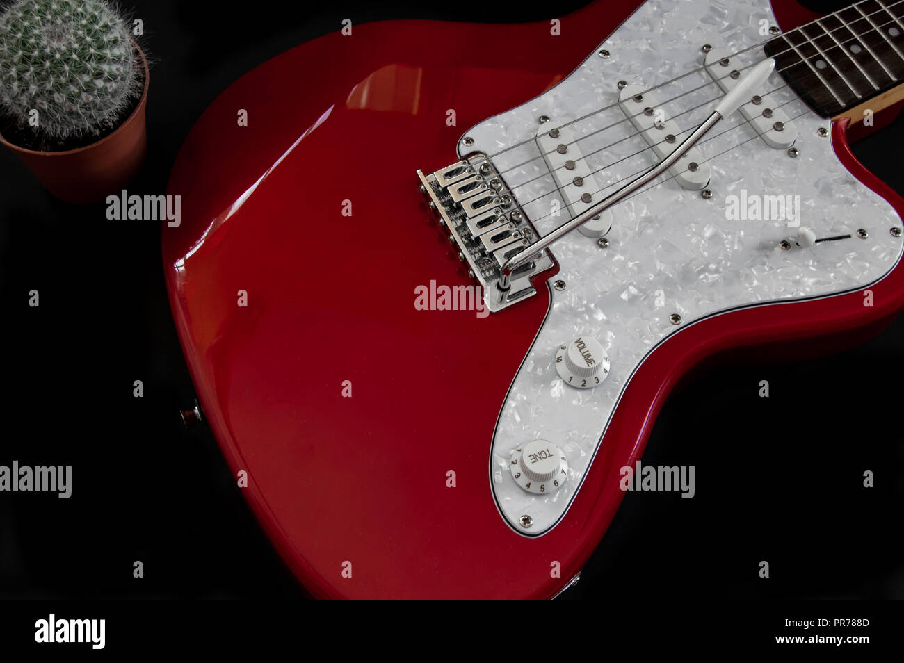 Body of a red electric guitar and a beautiful cactus in a pot isolated ...