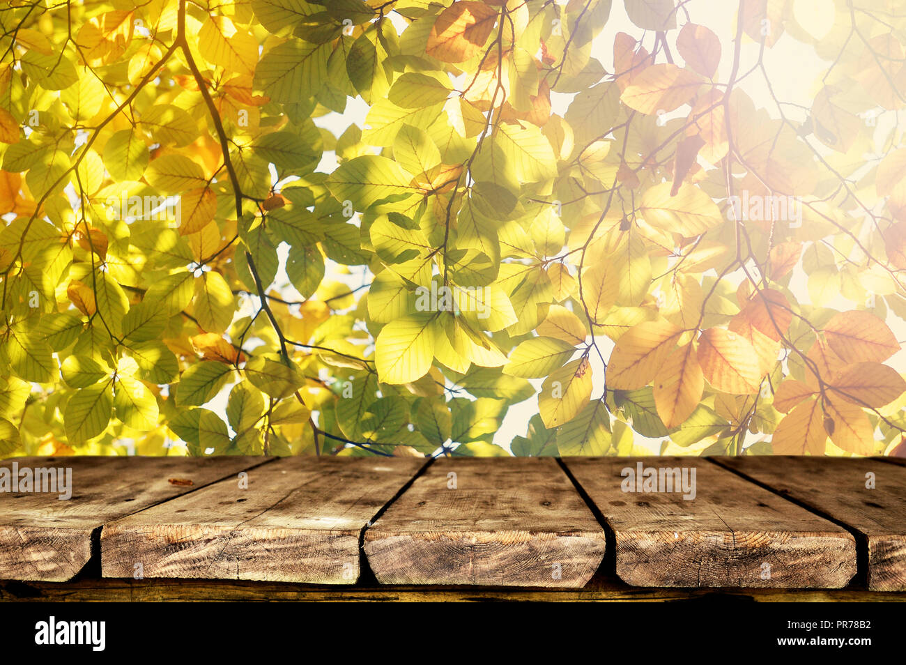 Wooden table background Stock Photo - Alamy