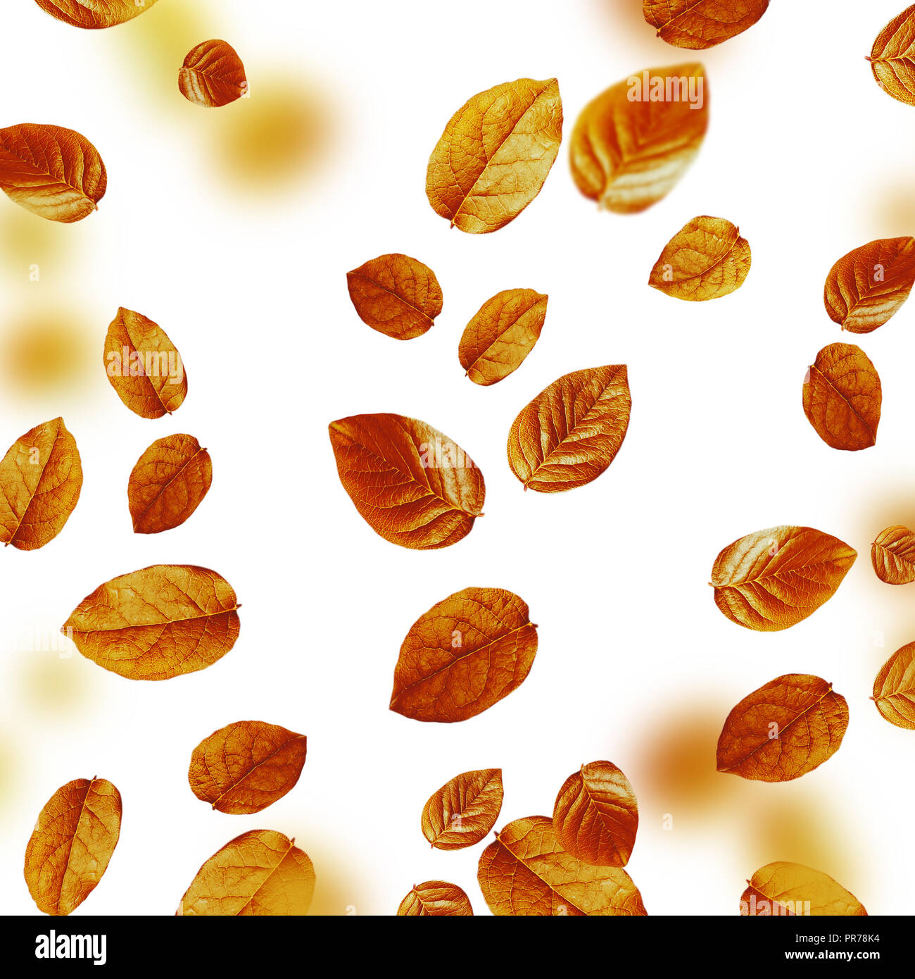 Autumn concept. Bright flying fall leaves on white background. Creative ...