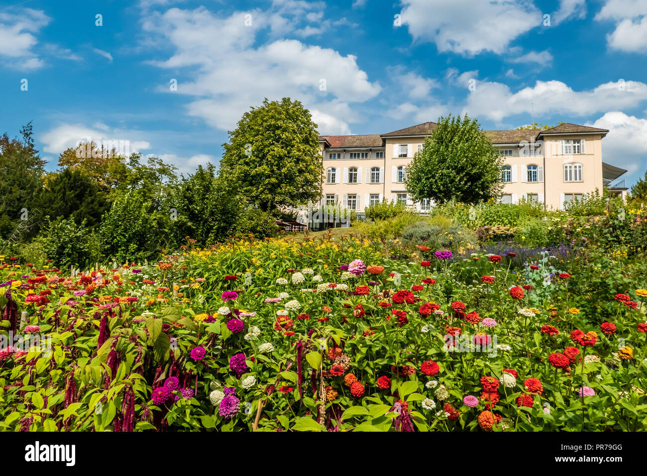 Gardens near the city of Zurich, Switzerland Stock Photo - Alamy