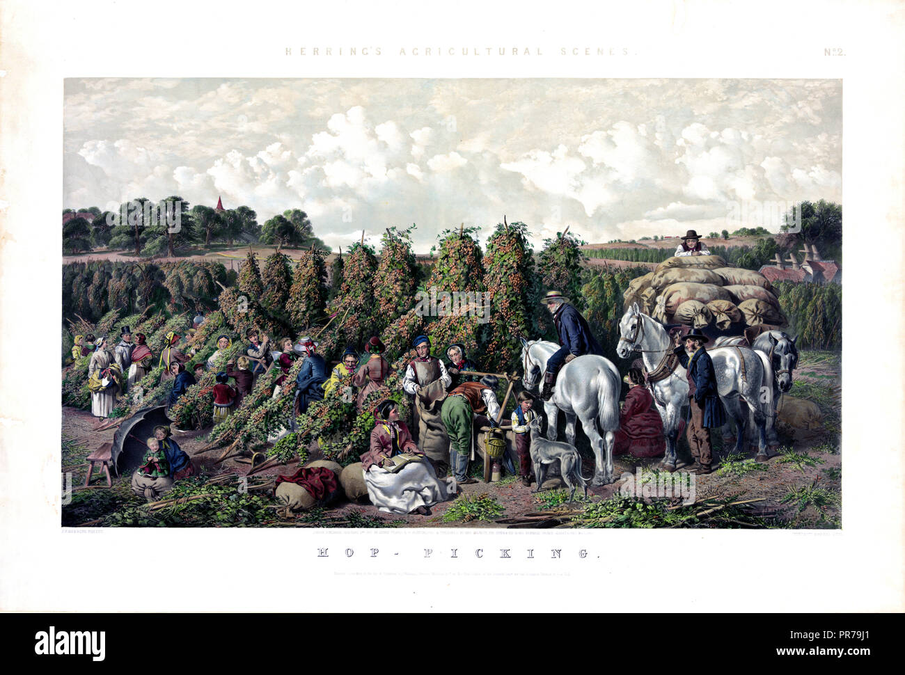 Hop - picking - picking hops ca. 1857 Stock Photo - Alamy
