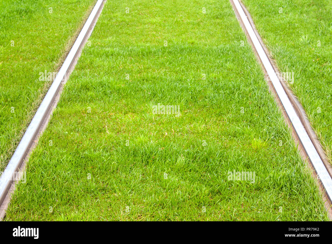 Tram line on grass hi-res stock photography and images - Alamy