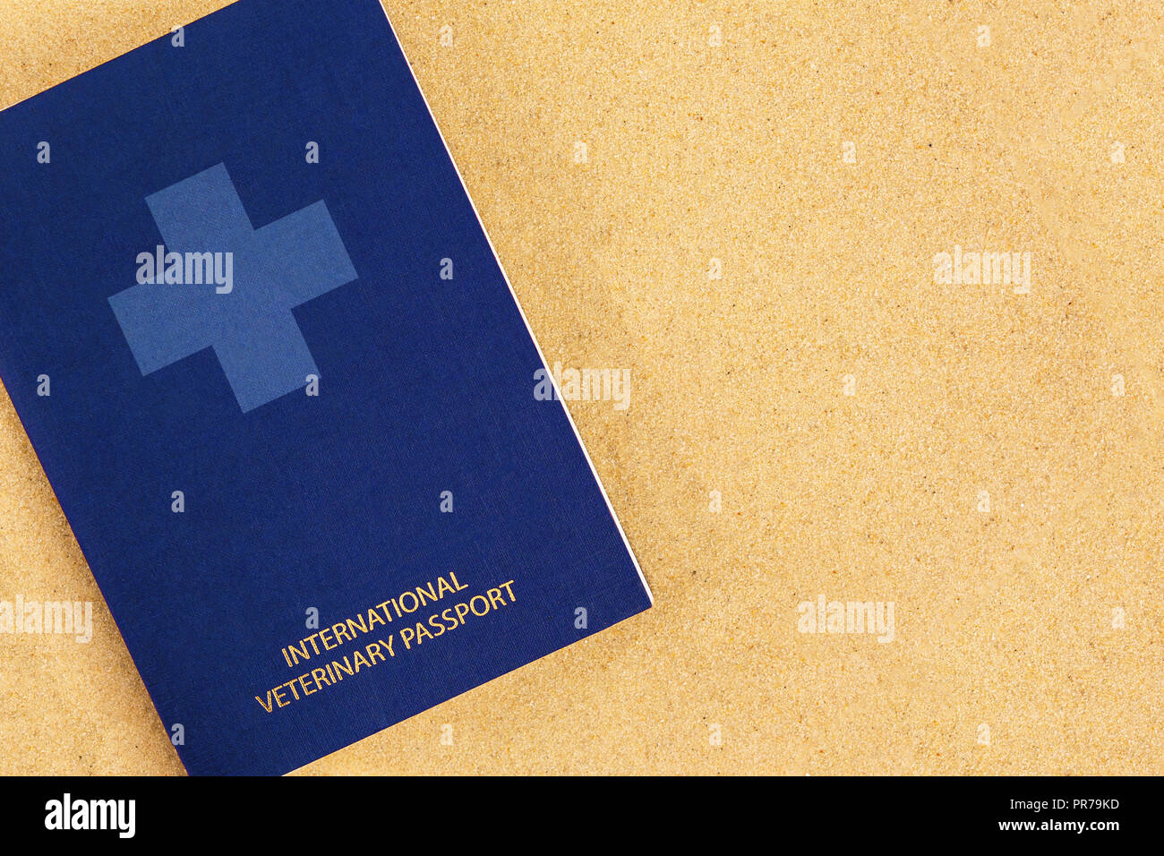 Blue pet (veterinary) passport of the animal lies on the sand Stock ...