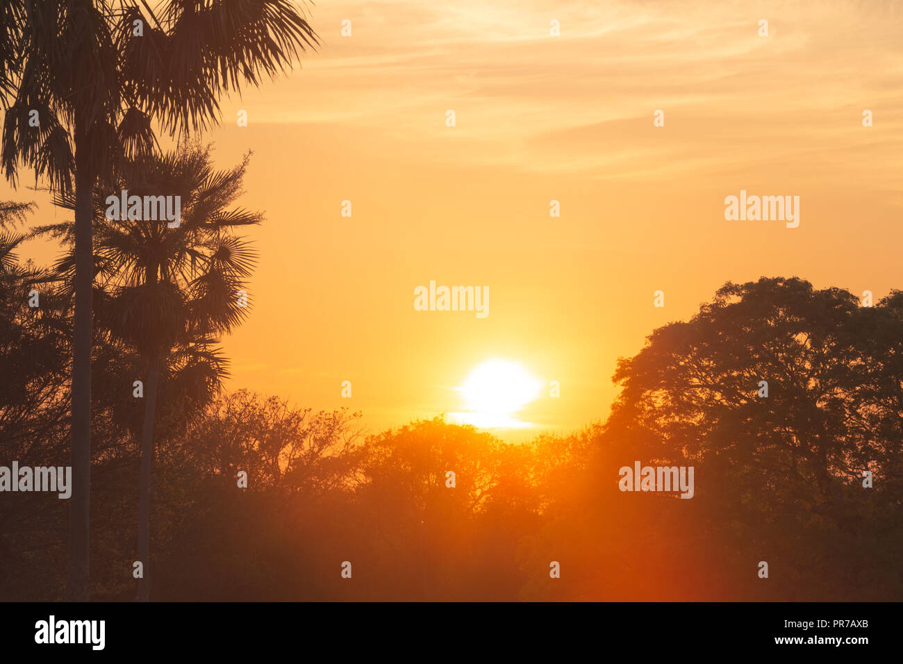 Rising sun background hi-res stock photography and images - Alamy