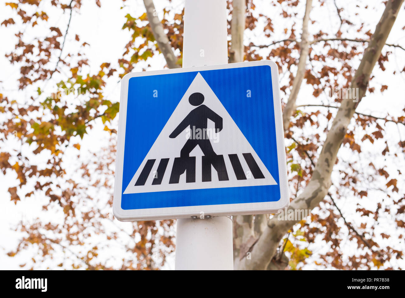 Blue pedestrians traffic sign in the city Stock Photo - Alamy