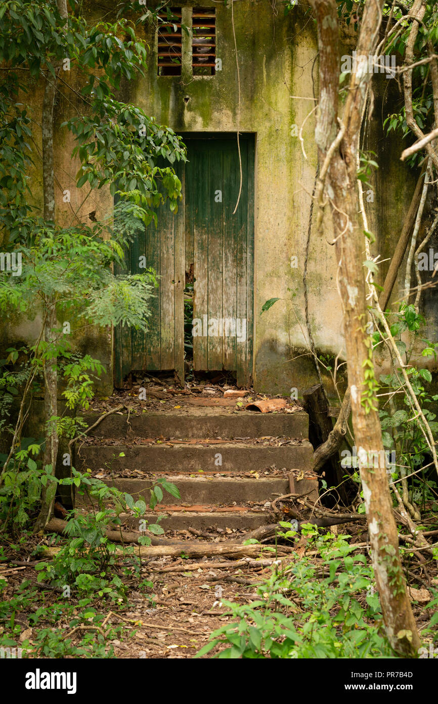 Forest Tree House Jungle High Resolution Stock Photography and Images ...