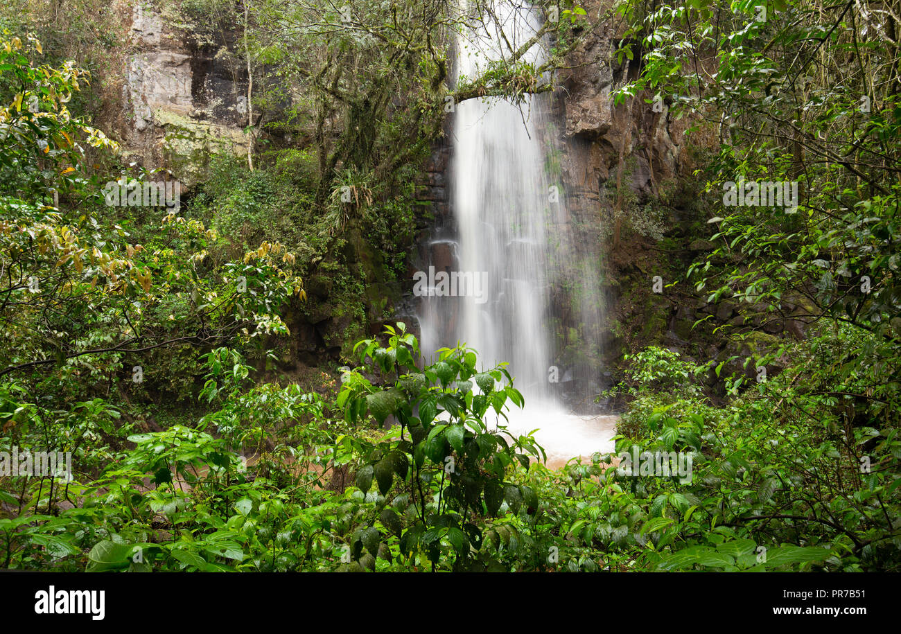 waterfall in a rainforest Stock Photo - Alamy