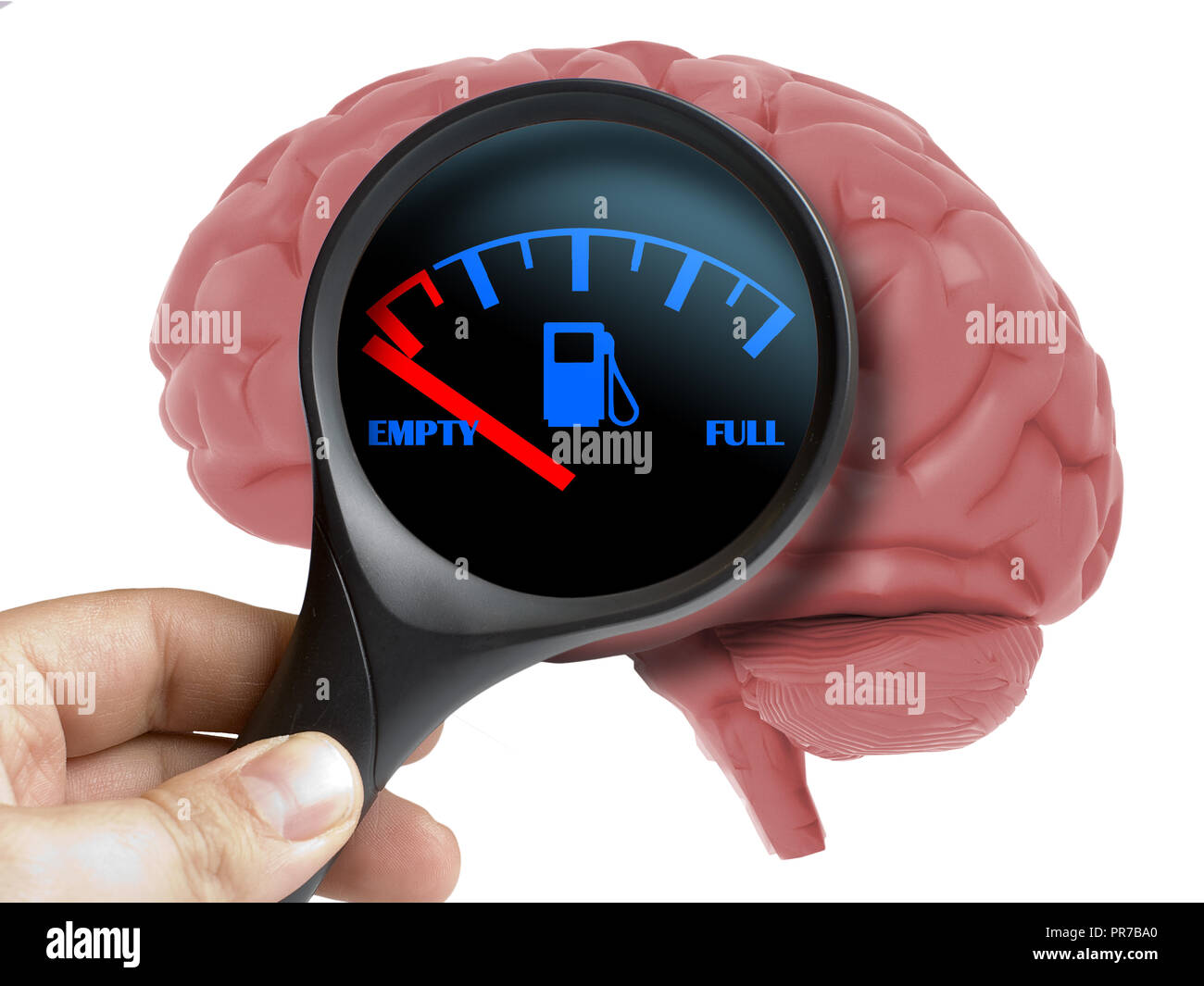 Empty Energy Human Brain concept. Magnifying glass on human 3d brain ...