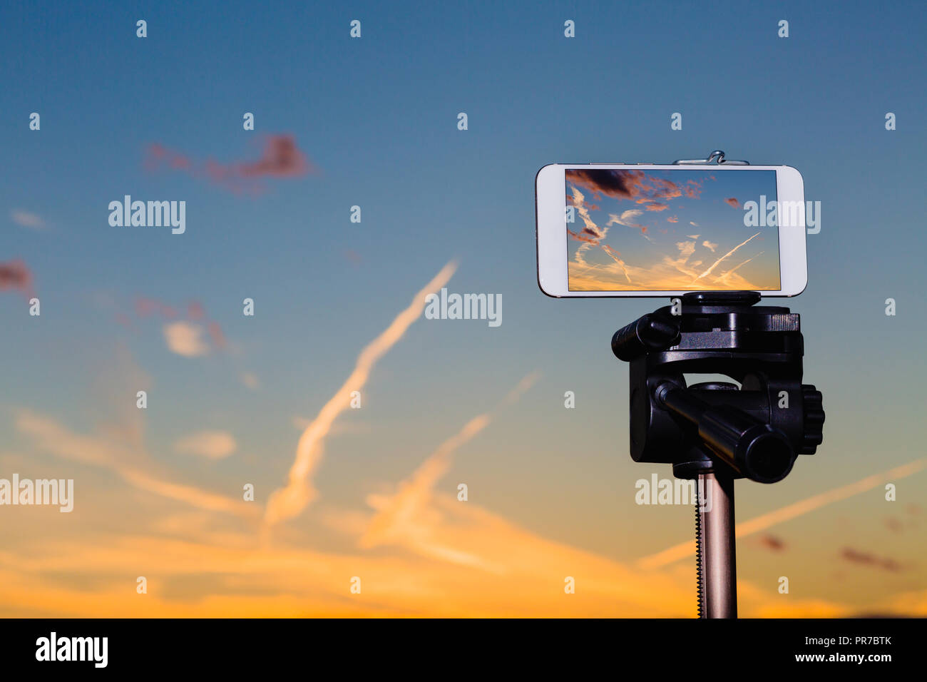 Using smartphone like professional camera on tripod to capturing image ...