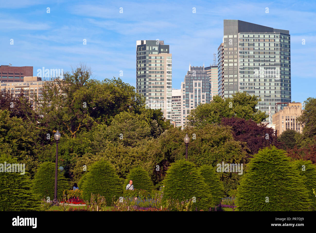 Boston Common Park and skyscrapers, Boston, Suffolk County ...