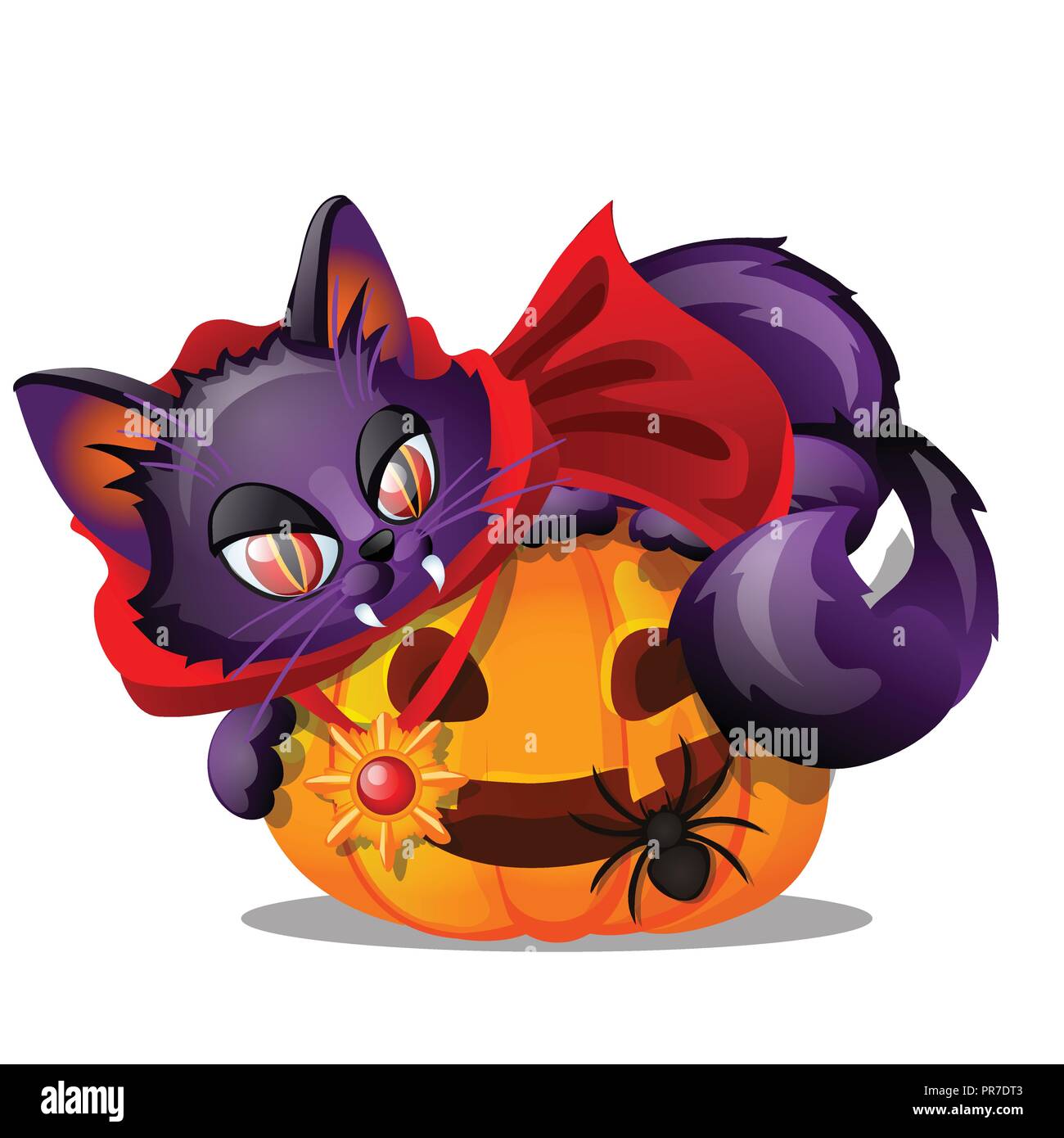 Purple cat with bared fang lying on Jack-o-lantern, black spider ...