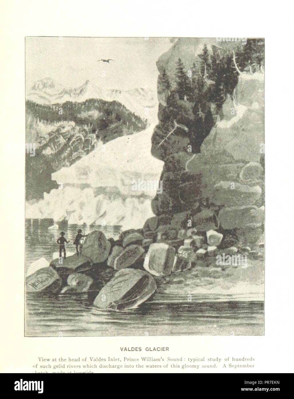 Alaska Fishing Drawings