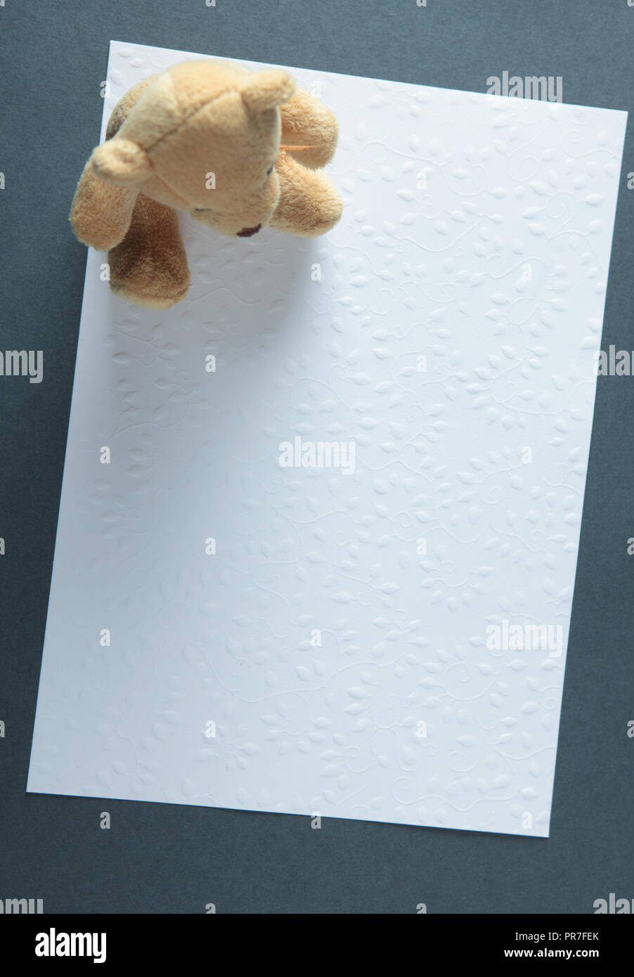 Frame with imprinted paper and Teddy Bear Stock Photo - Alamy