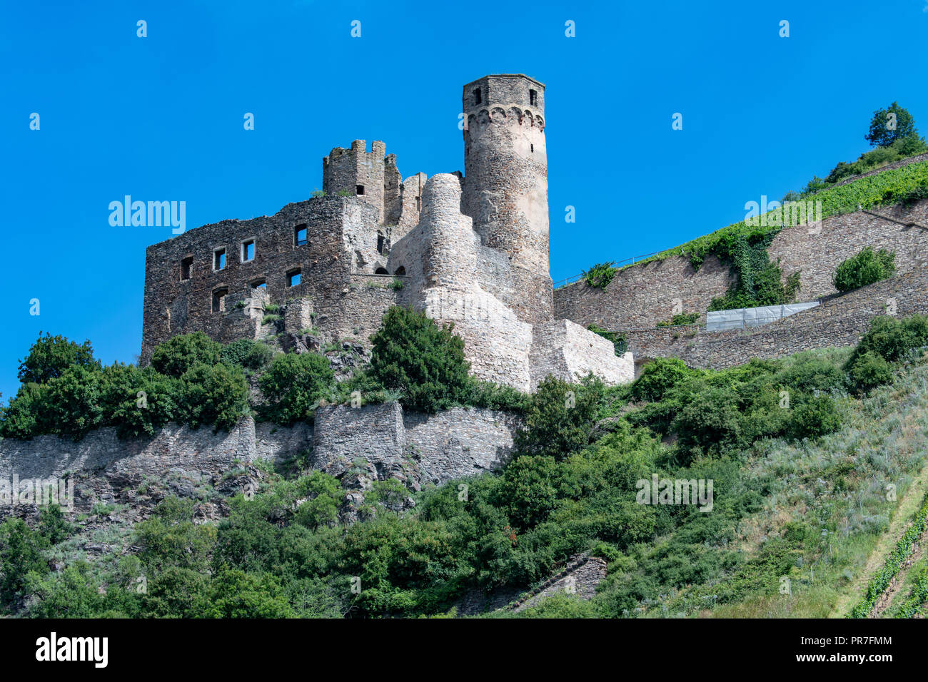 Ehrenfels Castle ruin in the Middle Rhine Valley, Germany Stock Photo ...