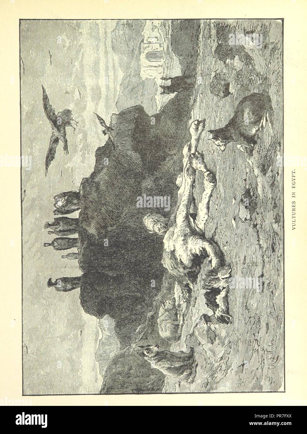 page 135 of 'Zigzag journeys in the Levant, with a Talmudist story ...