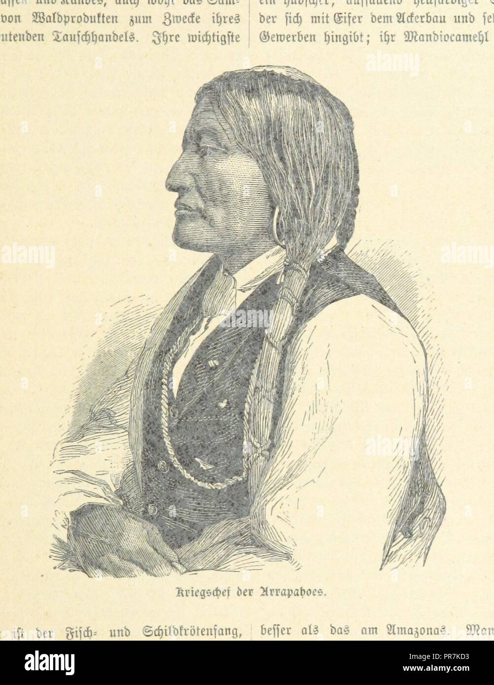 page 199 of 'Der Mensch, sein Ursprung, seine Rassen und sein Alter, etc' Stock Photo - Alamy