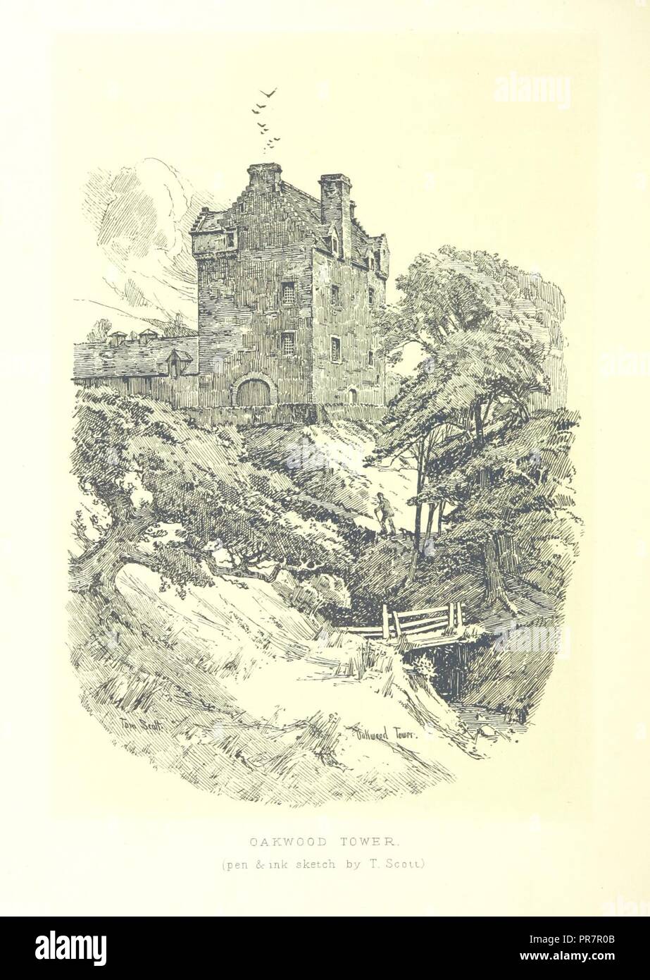 Ettrick forest hi-res stock photography and images - Alamy