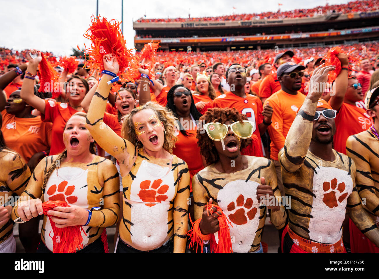 College football fans hi-res stock photography and images - Alamy