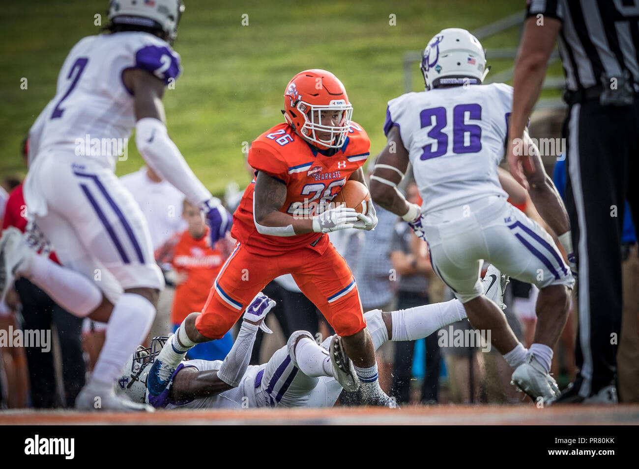 Sam houston state bearkats football hi-res stock photography and images ...