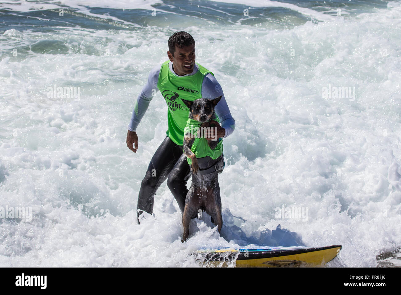 Huntington Beach, CA ,USA.29th September, 2018 dog beach was the ...
