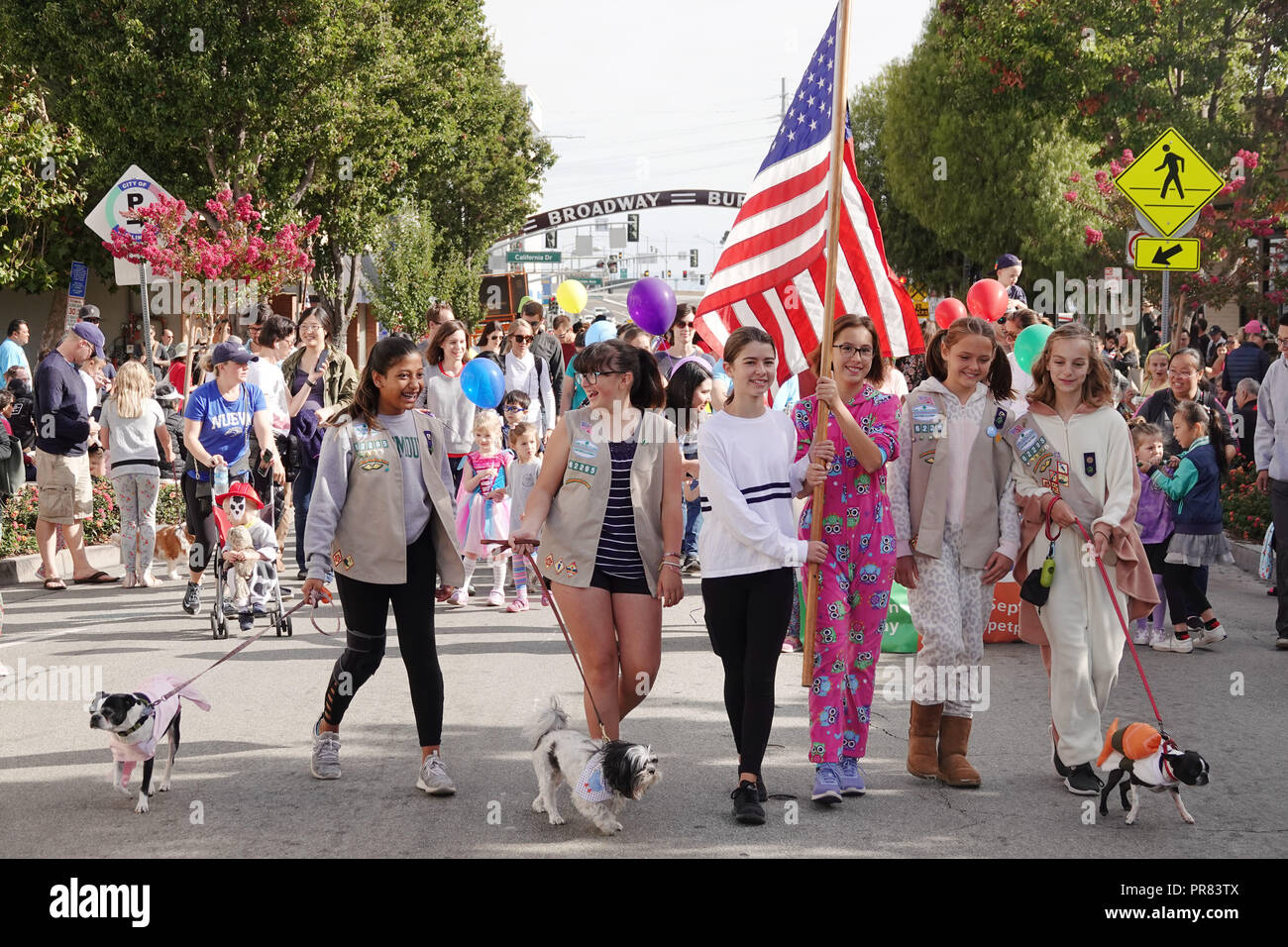 Dog parade hi-res stock photography and images - Alamy