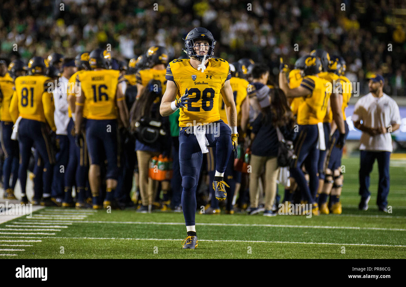 Ducksf hi-res stock photography and images - Alamy