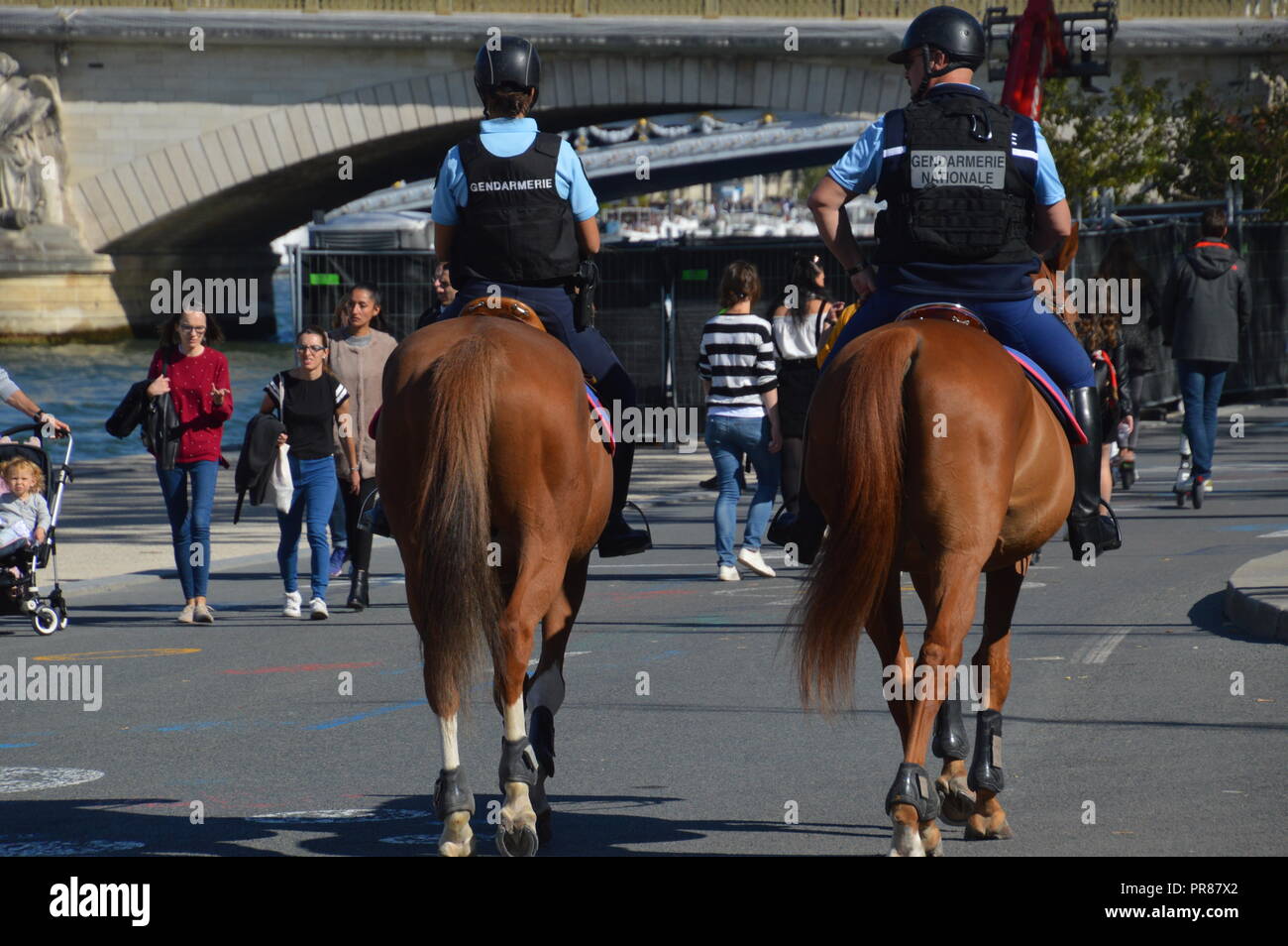 Monties hi-res stock photography and images - Alamy