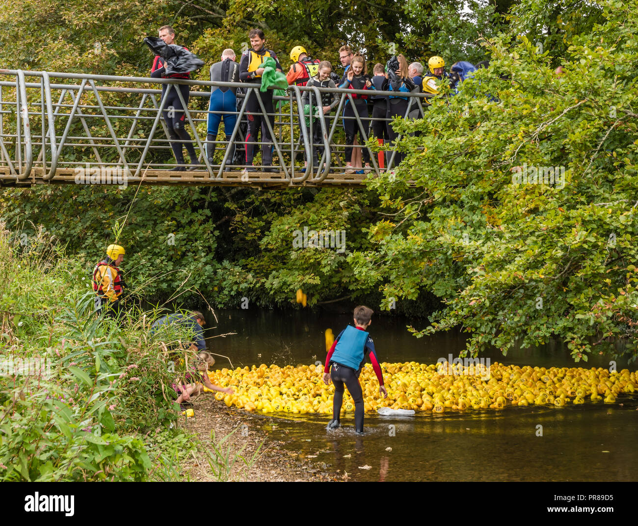 Duck race devon hi-res stock photography and images - Alamy