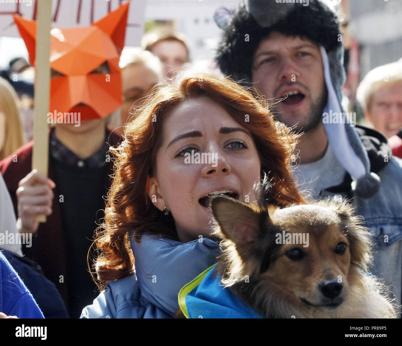 Bullying animals hi-res stock photography and images - Alamy
