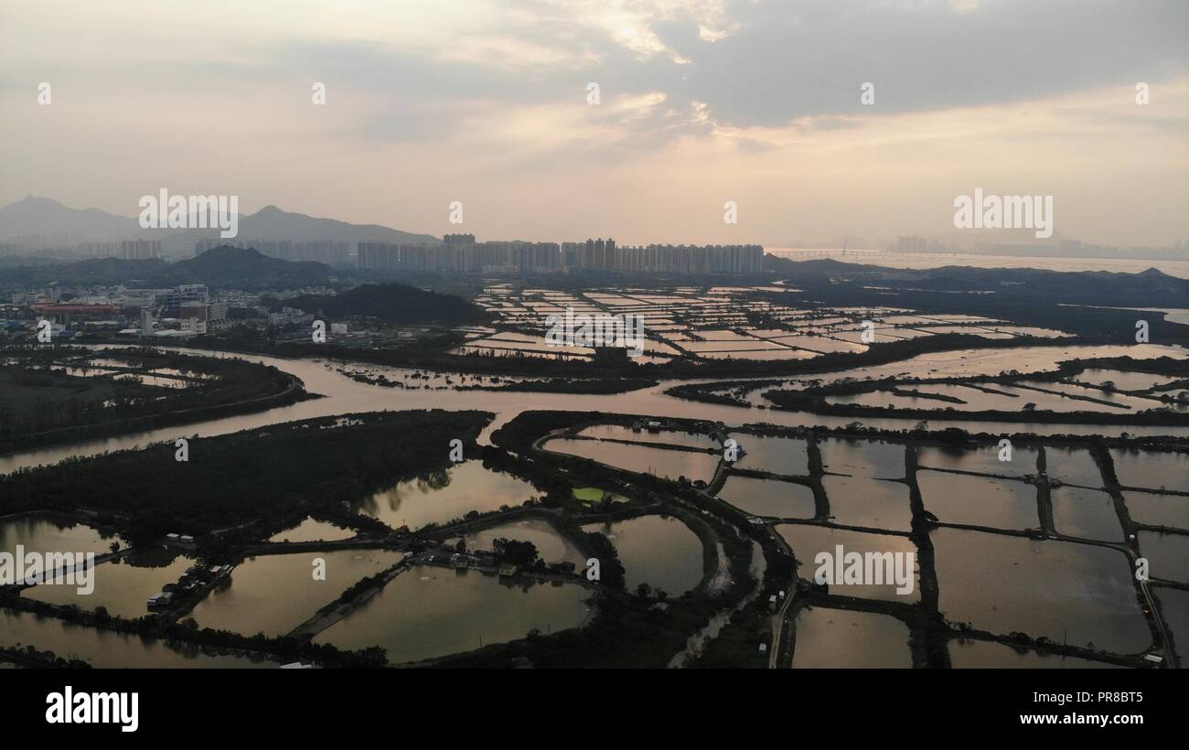 yuen long field in sunset, hong kong countryside Stock Photo - Alamy