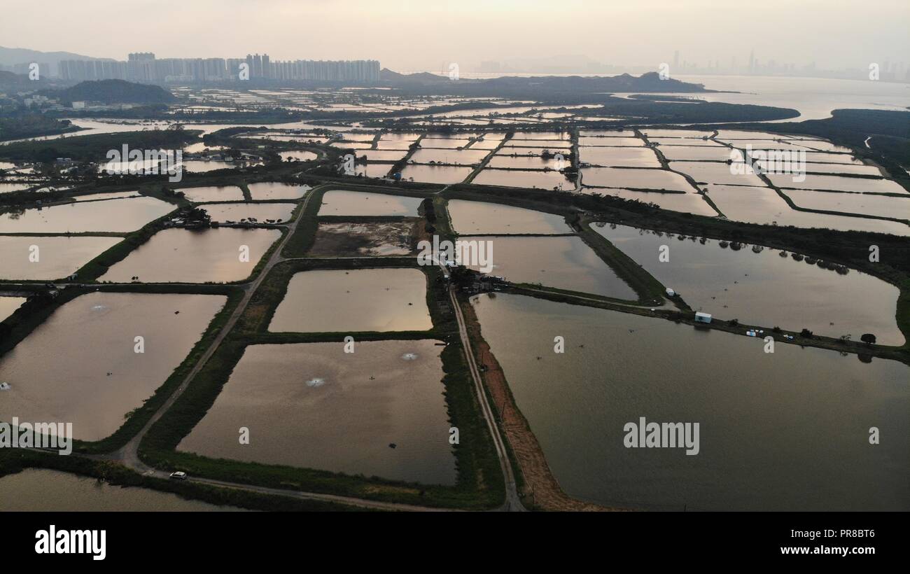 Yuen Long Stock Photos & Yuen Long Stock Images - Alamy