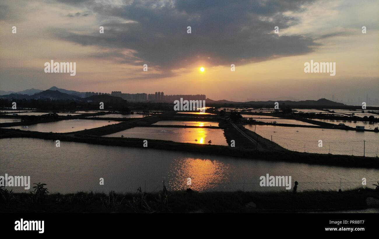 Fish aquaculture hong kong hi-res stock photography and images - Alamy