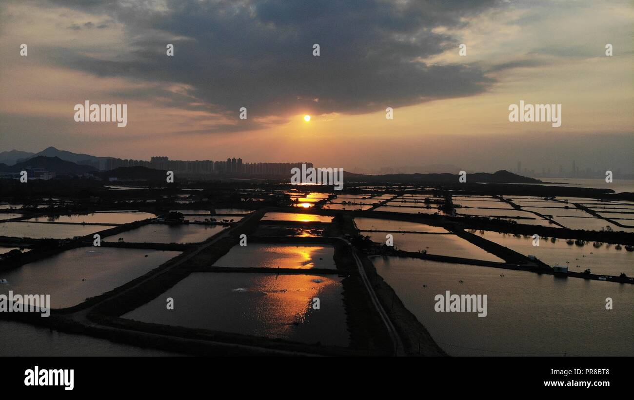 yuen long field in sunset, hong kong countryside Stock Photo - Alamy