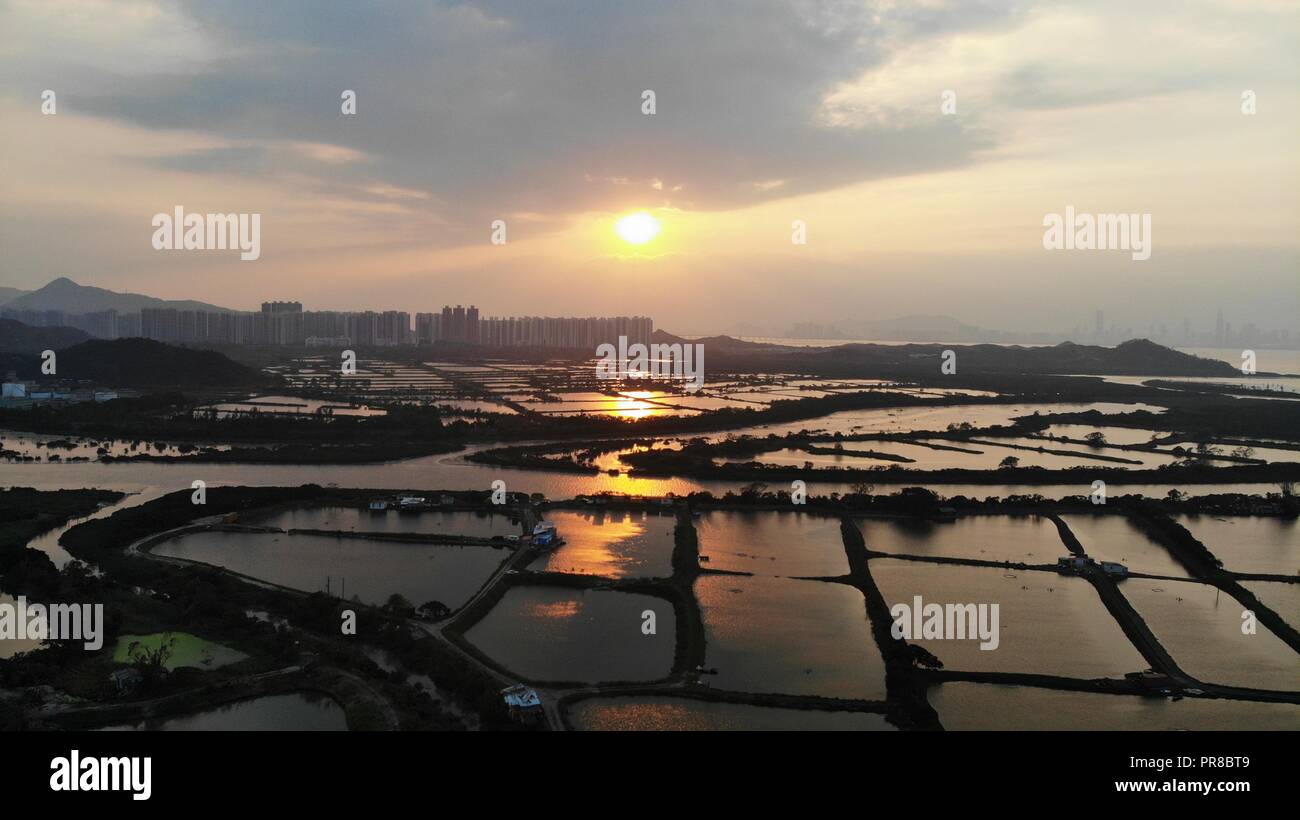 yuen long field in sunset, hong kong countryside Stock Photo - Alamy
