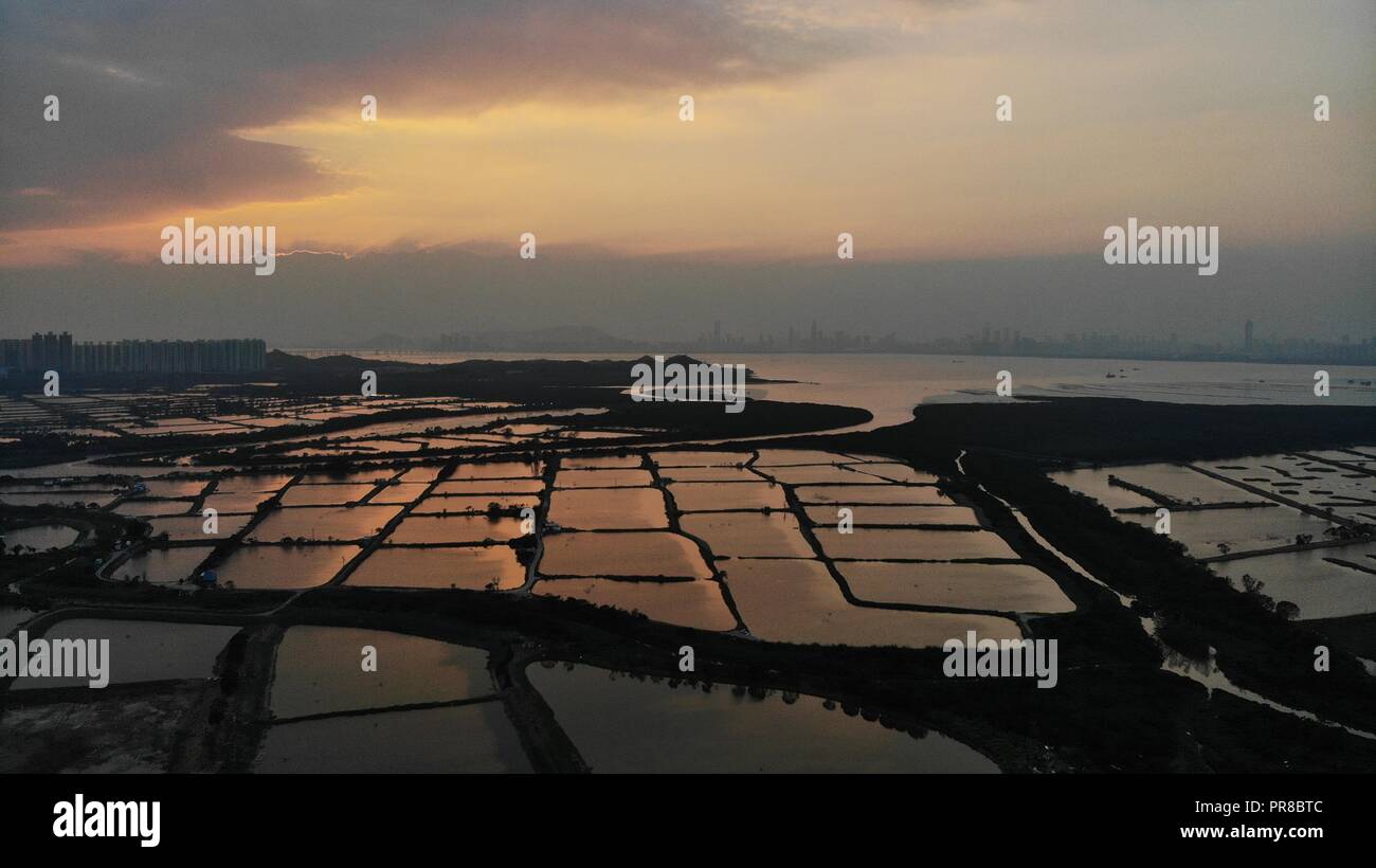 Long field hi-res stock photography and images - Alamy