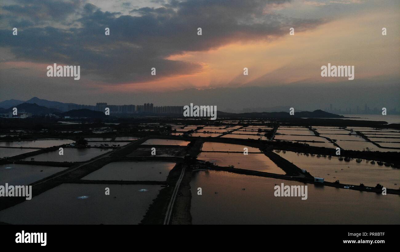 yuen long field in sunset, hong kong countryside Stock Photo - Alamy