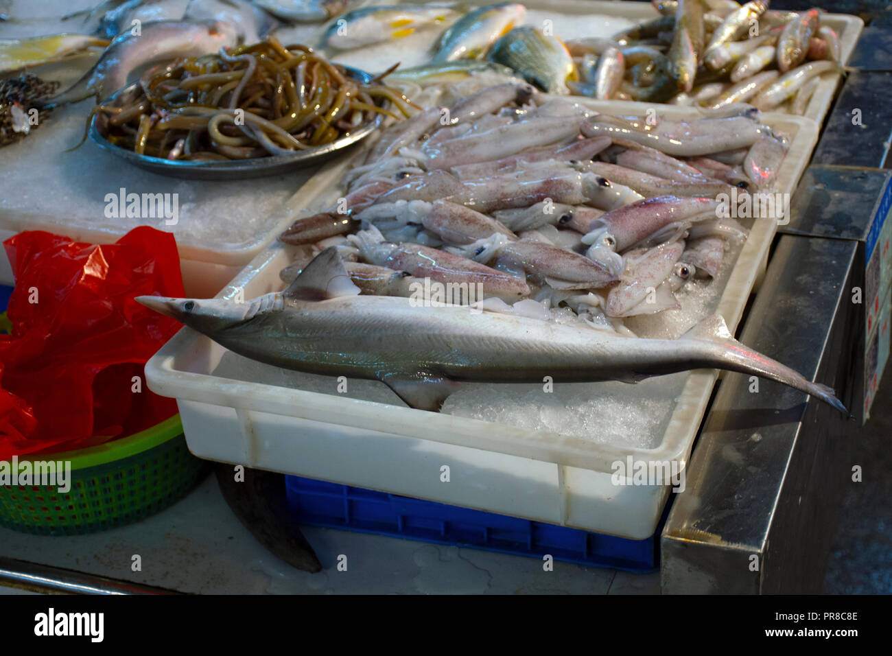 Small hammerhead shark on sale at the seafood market in Haikou, Hainan ...