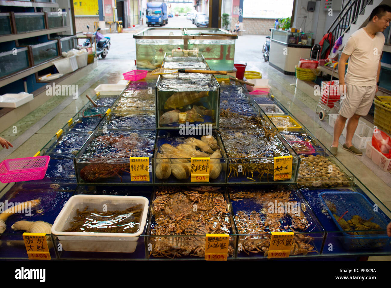 Seafood market in Haikou, Hainan Island, China Stock Photo - Alamy