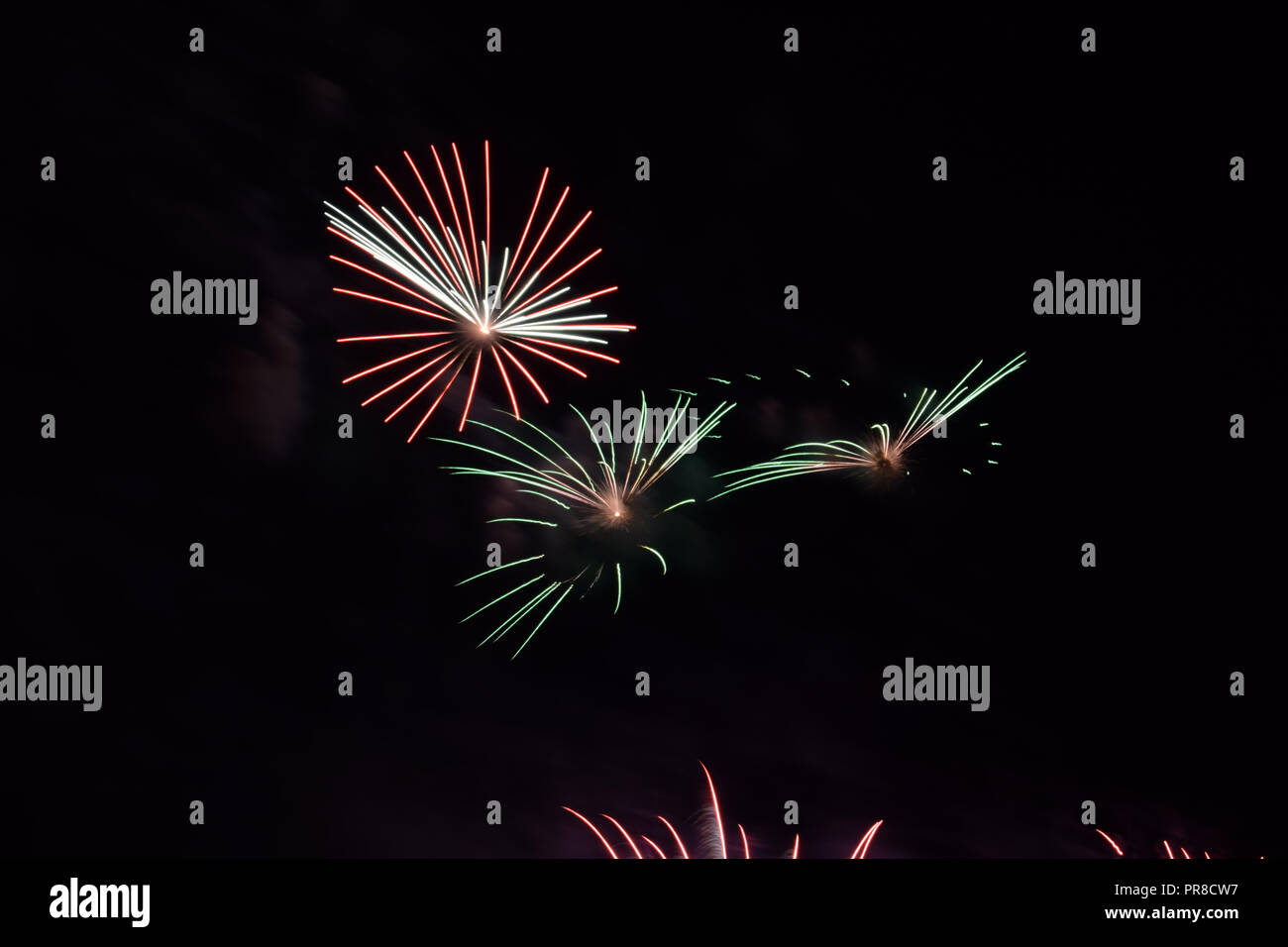 fireworks looks like exotic birds, multicolour festive fireworks in ...