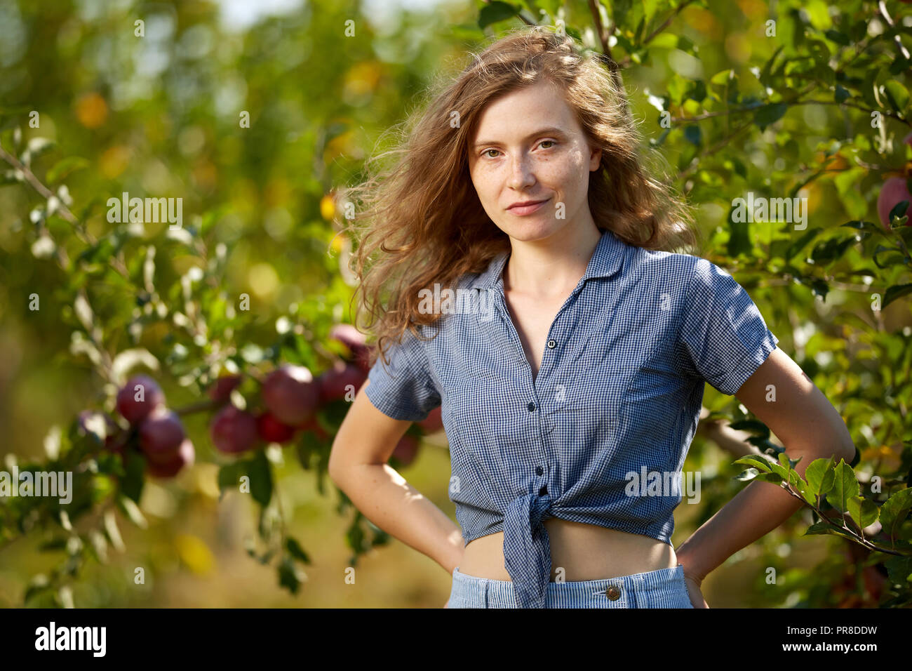 Young attractive farmer lady in her apple orchard Stock Photo - Alamy