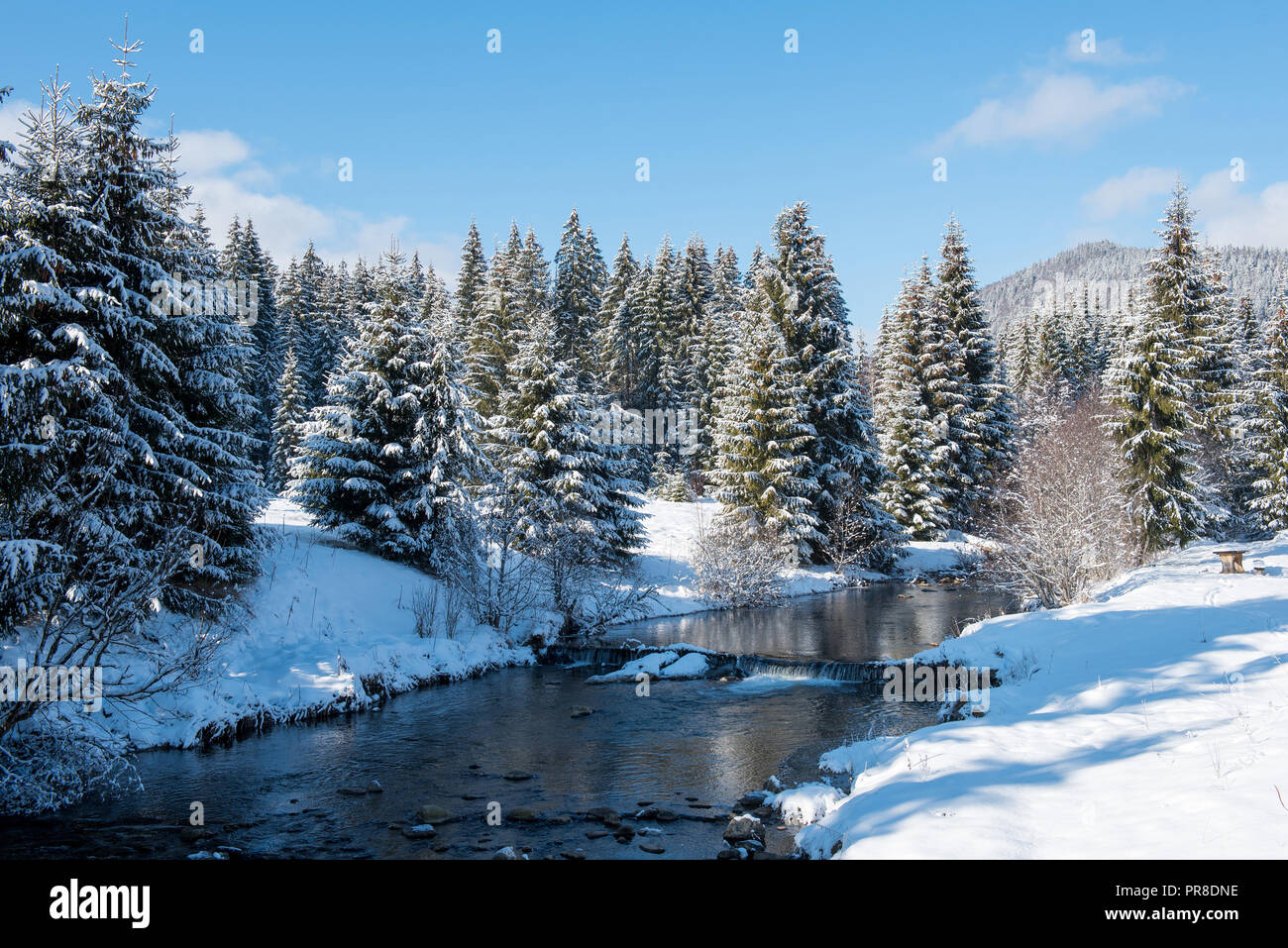 Winter water stream in the forest with snow covered trees Stock Photo ...