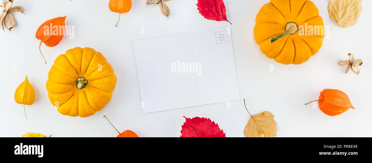 Creative Top view flat lay autumn composition. Pumpkins dried orange ...